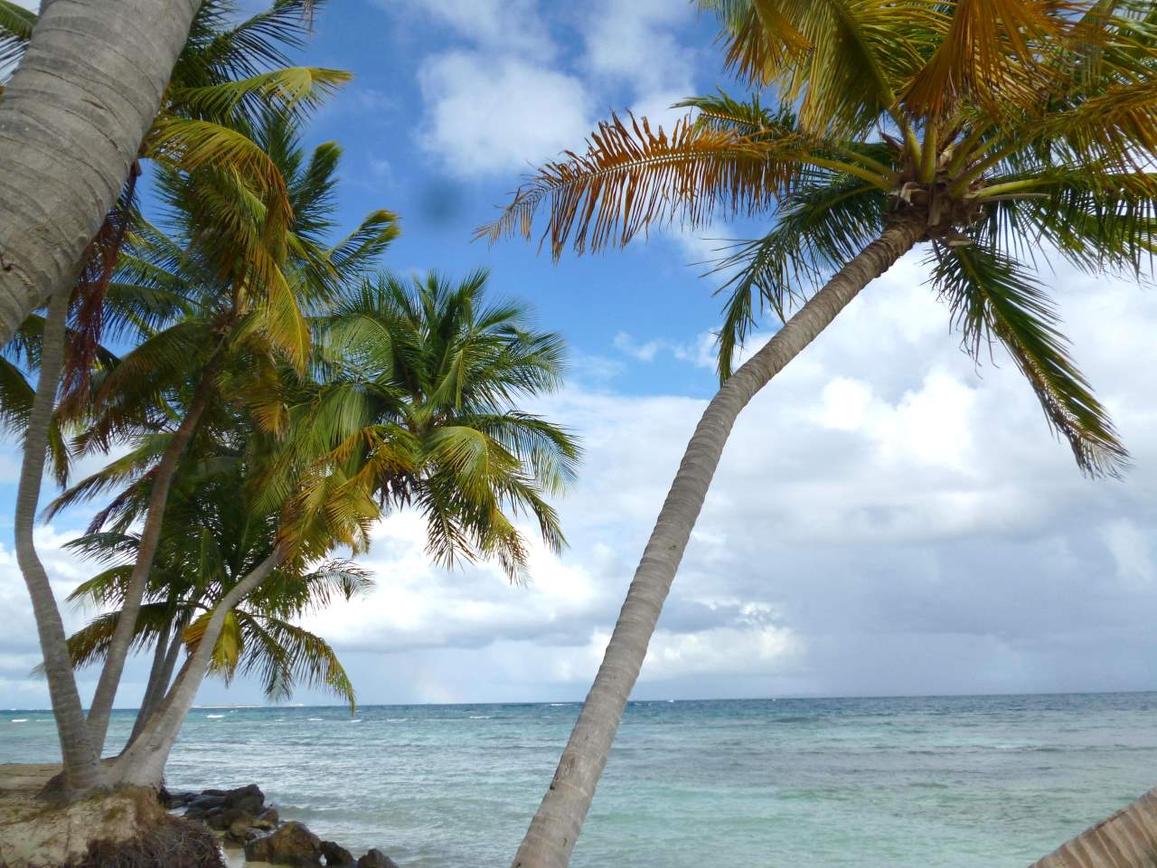 Puerto Rico Vacations | Resorts & Hotels | Beachbound